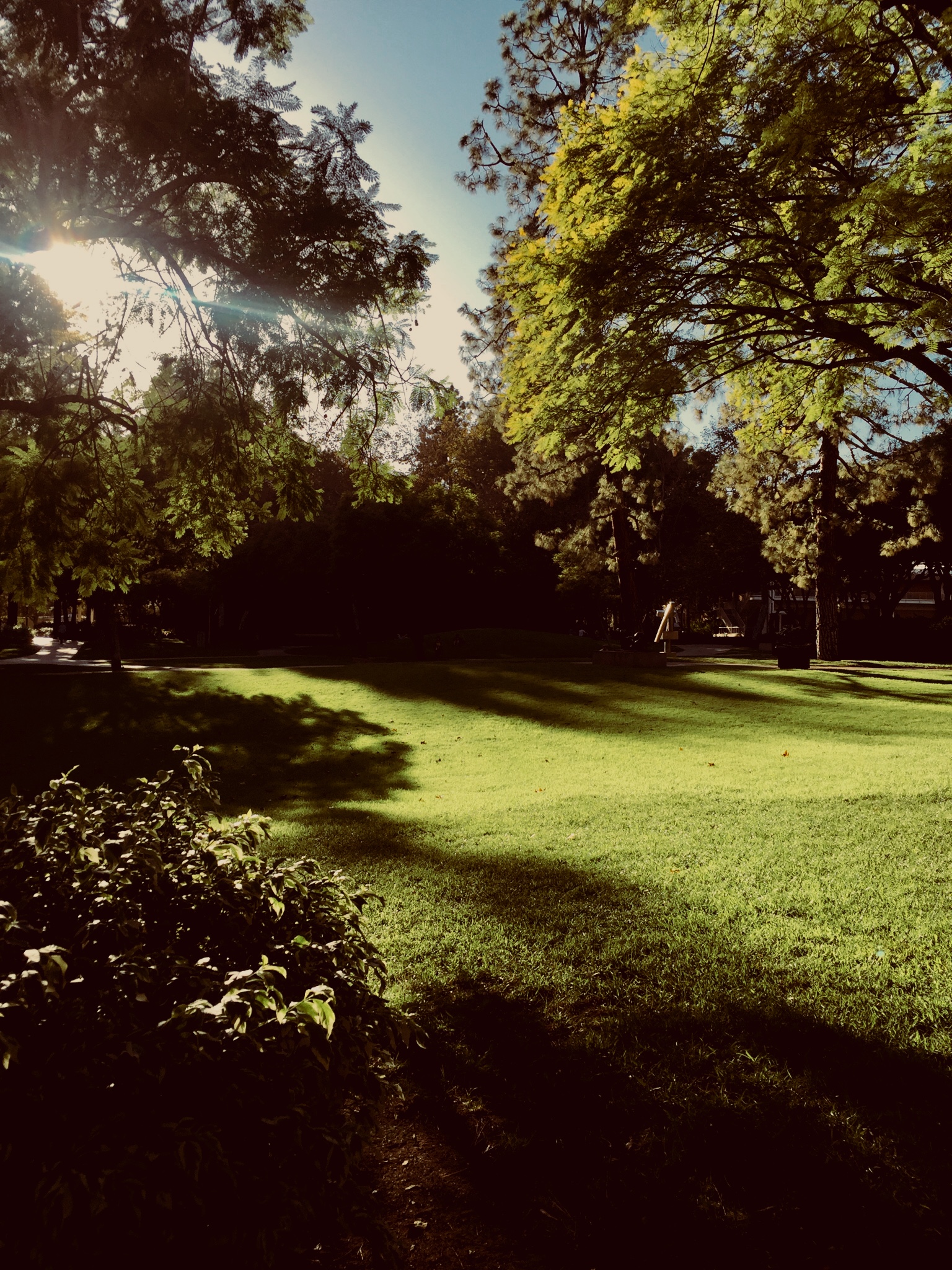 THIS IS A SHORT STORY ABOUT THE MELLOW SUN AND THE GRAVITY OF THE PAST ...